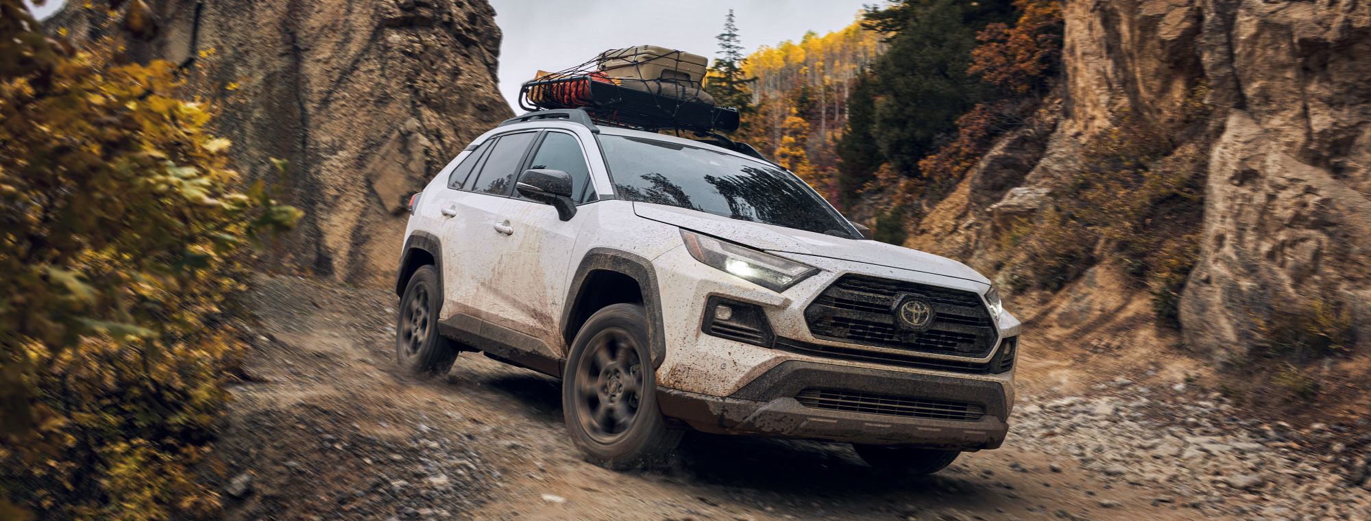 Toyota Dealership in Effingham IL | Serving Effingham and Salem | Dan ...